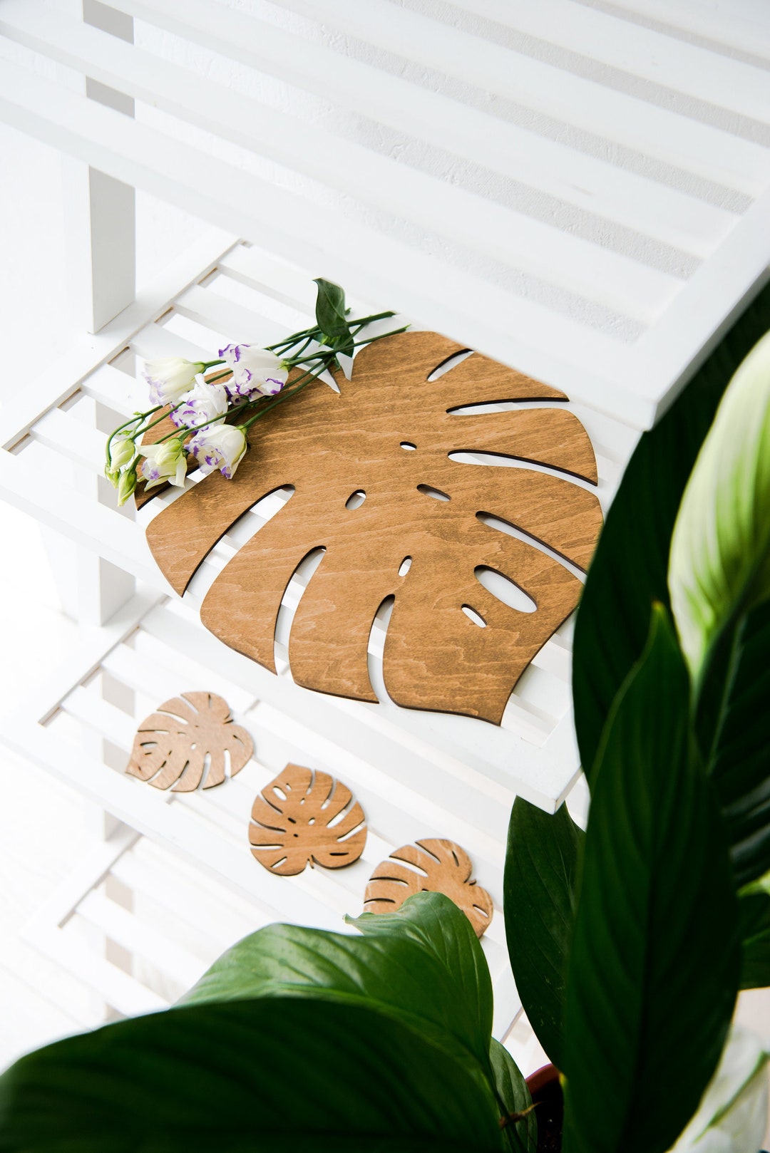 Monstera Tropical Leaf Print Wood Home Decor Coasters Set Placemats for ...