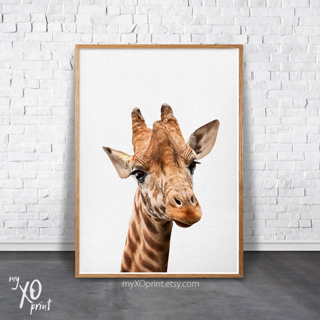 Baby Animal Nursery Art, Giraffe Print, Giraffe Wall Art, Safari Animal ...
