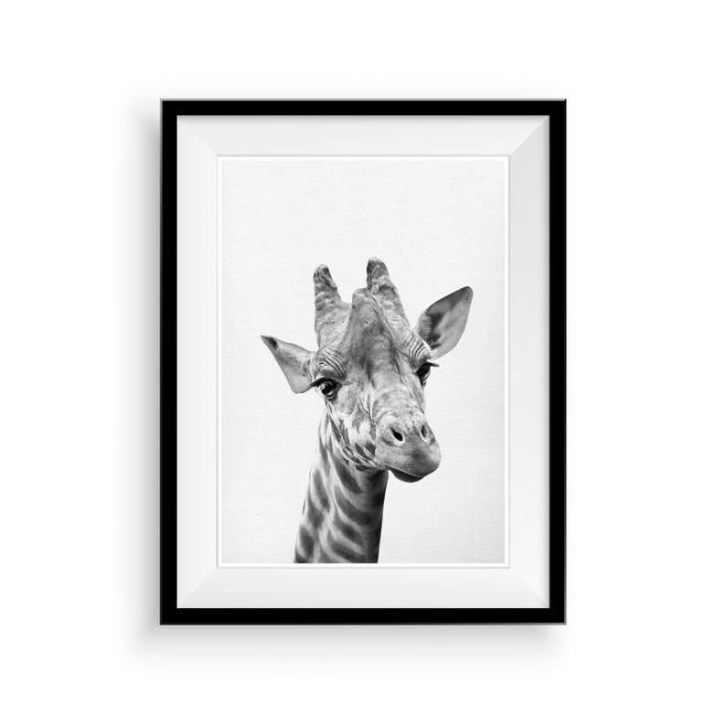Giraffe Print, Safari Animal Print, Printable Giraffe, African Nursery ...