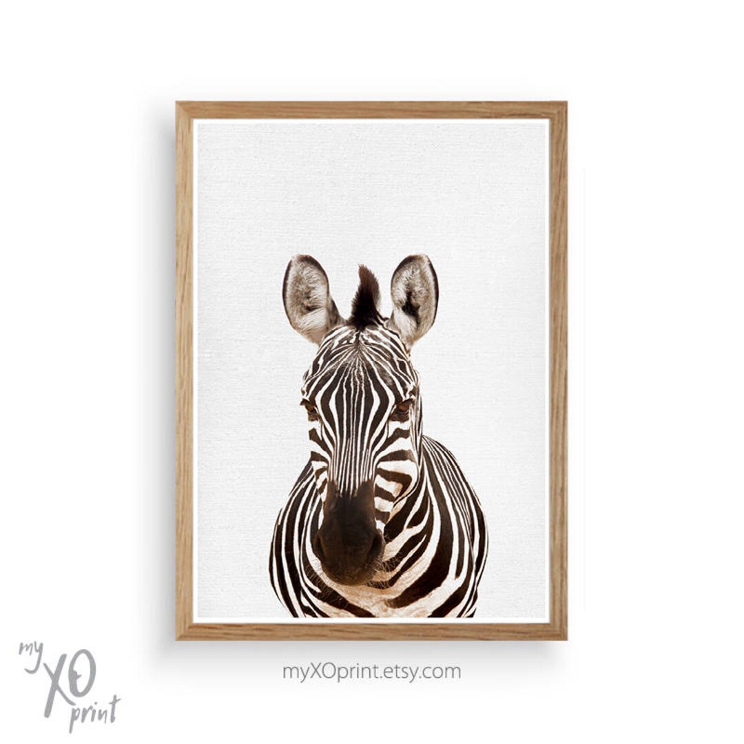 Zebra Print, Nursery Animal Print, Safari Nursery Decor, Baby Room Wall ...