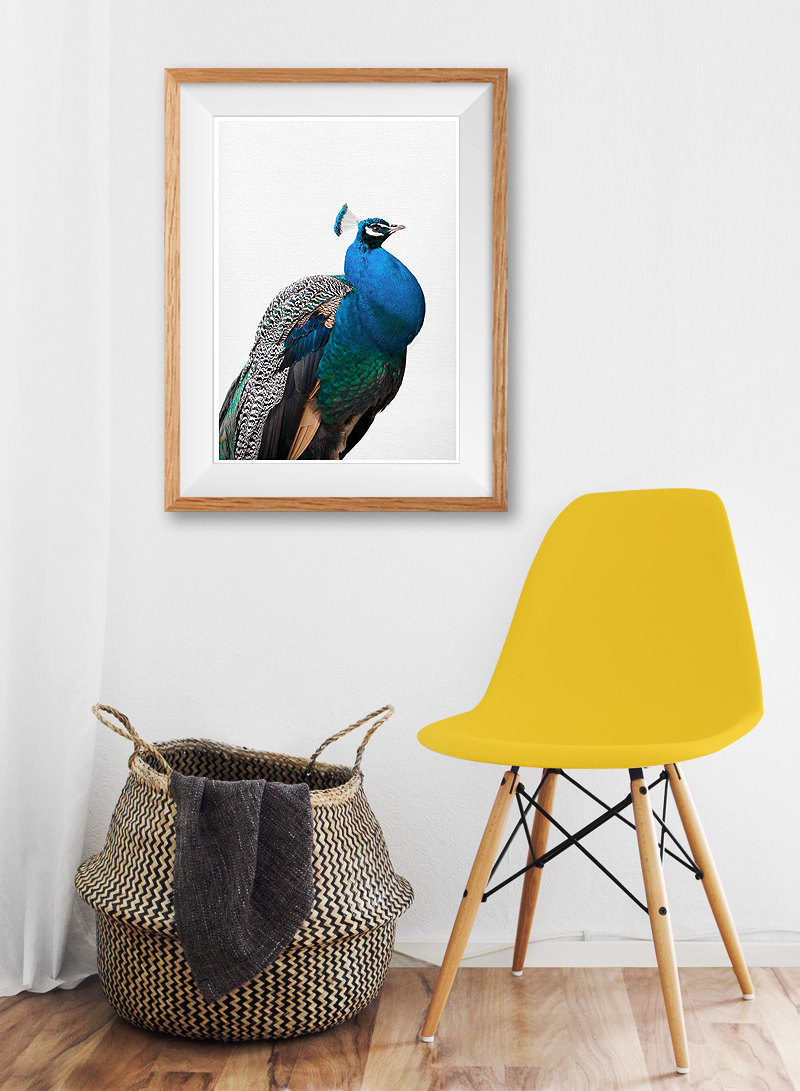 Printable Art Peacock Print Nursery Animal Print Peacock - Etsy