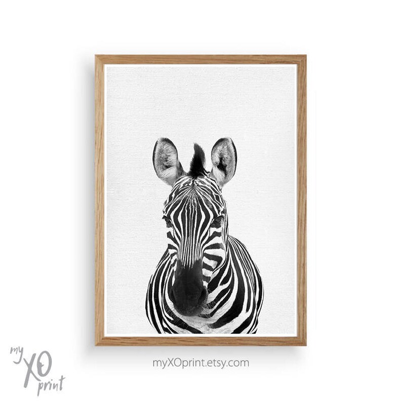 Zebra-Druck, Baby Tier Kindergarten Kunst, schwarz und weiß Kunst, Safari Kindergarten, Tier ...