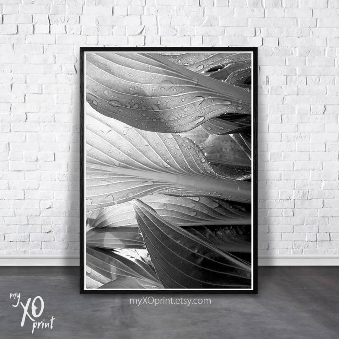 Leaves Wall Art Print, Black and White, Tropical Plant Photo, Printable ...