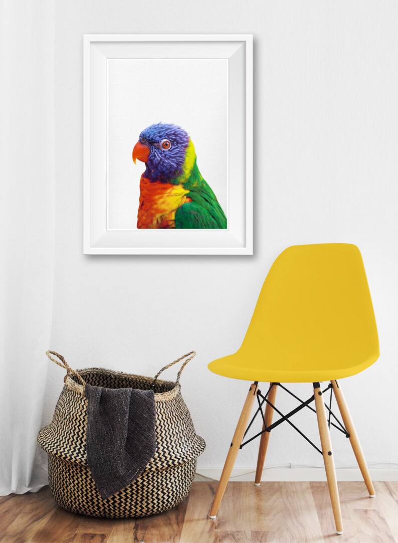 Parrot Print, Tropical Bird Print, Bird Poster, Wall Art, Tropical ...