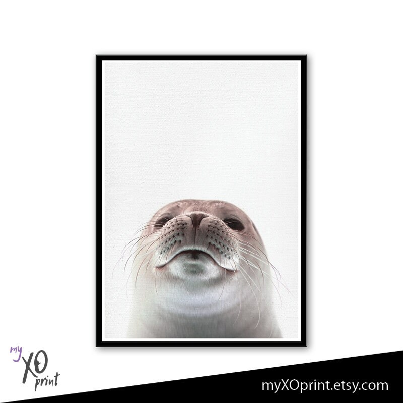 Nursery Wall Art Seal Print Printable Poster Sea Animal - Etsy