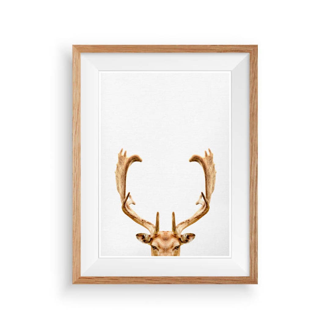 Deer Print Antler Wall Decor Printable Art Animal Print - Etsy
