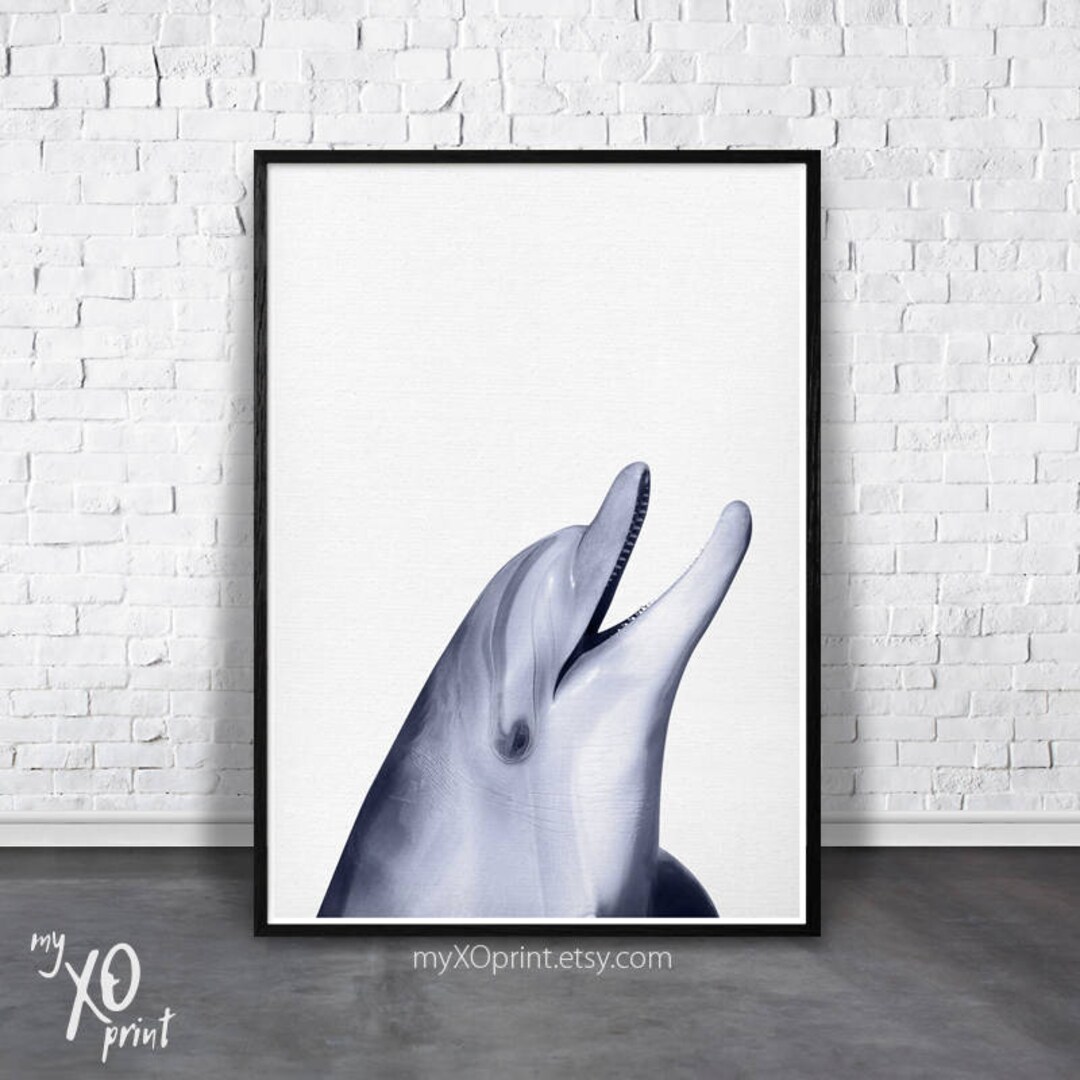 Dolphin Print Nursery Wall Art Animal Poster Fish Print - Etsy