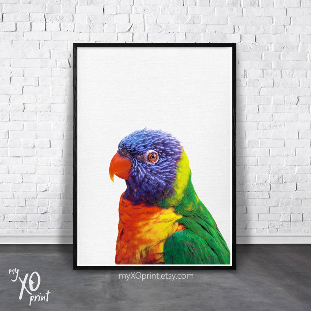 Parrot Print Tropical Bird Print Bird Poster Wall Art - Etsy