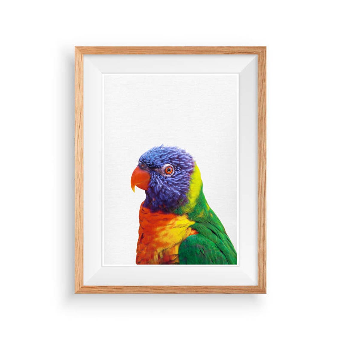 Parrot Print Tropical Bird Print Bird Poster Wall Art - Etsy