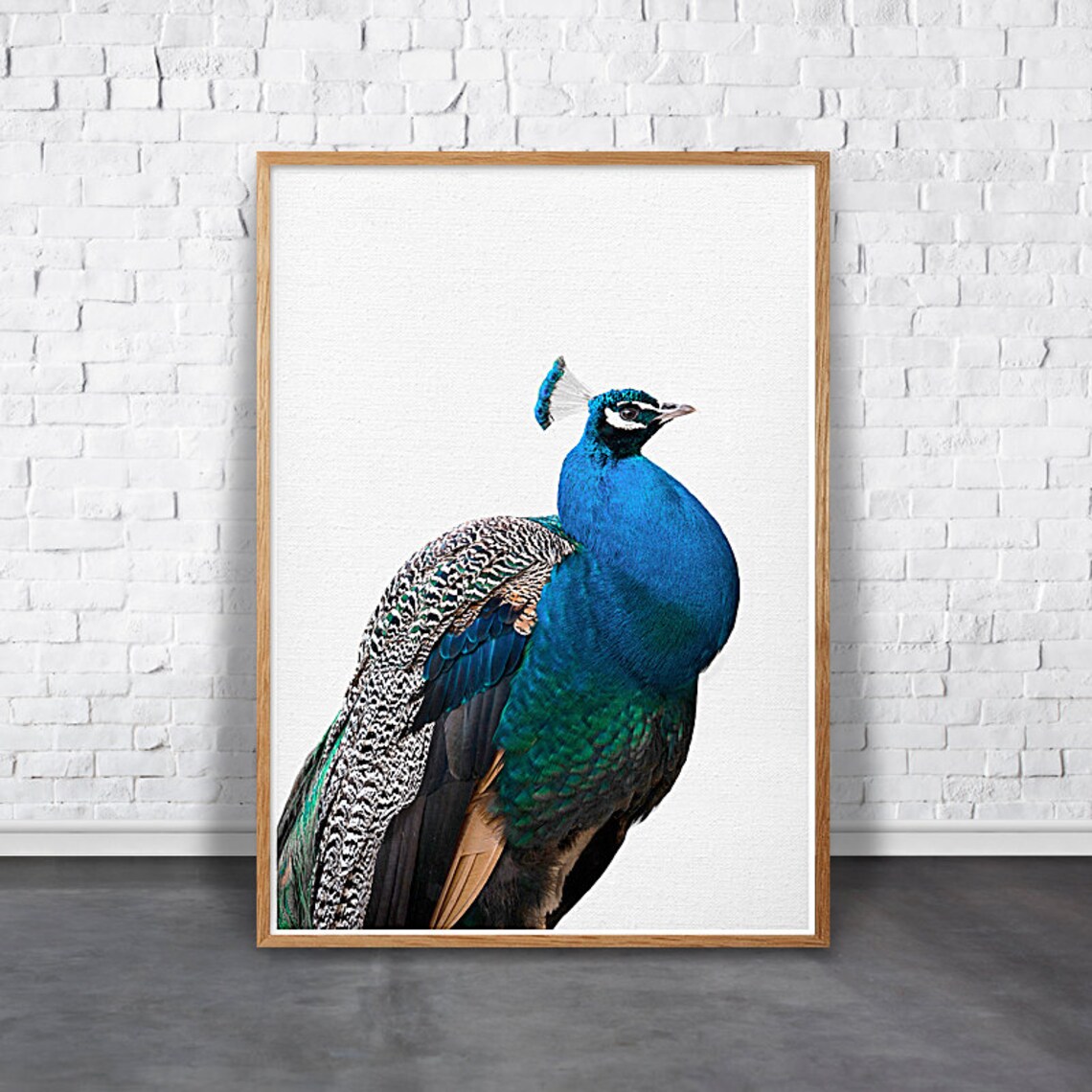 Printable Art Peacock Print Nursery Animal Print Peacock - Etsy