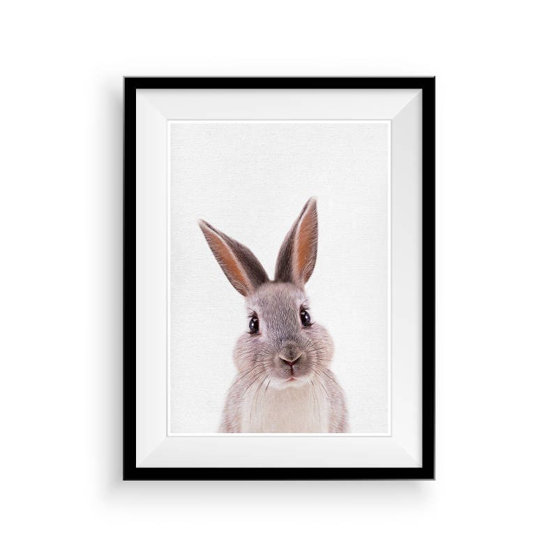 Rabbit Print Nursery Wall Art Bunny Print Woodland Animal - Etsy