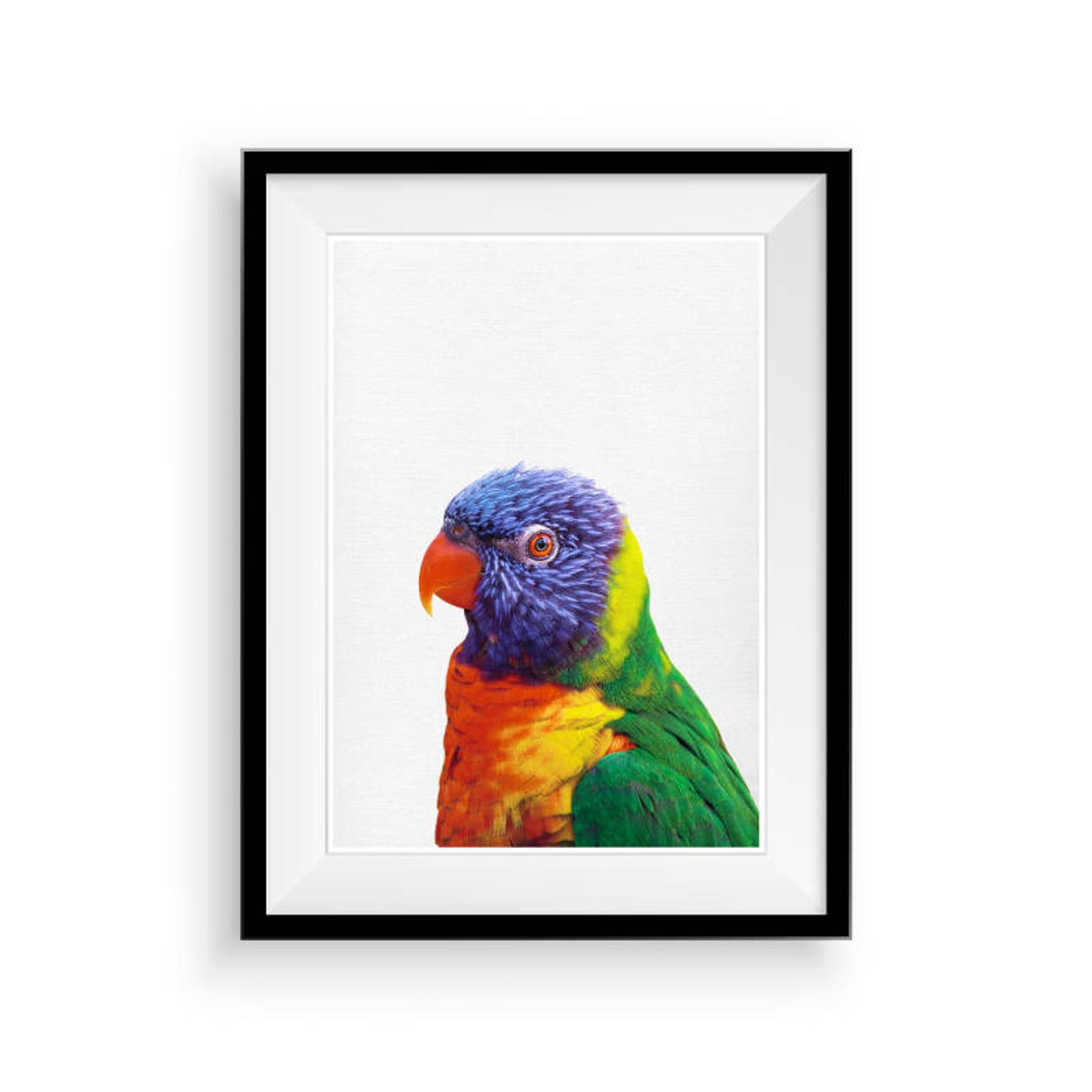 Parrot Print Tropical Bird Print Bird Poster Wall Art - Etsy