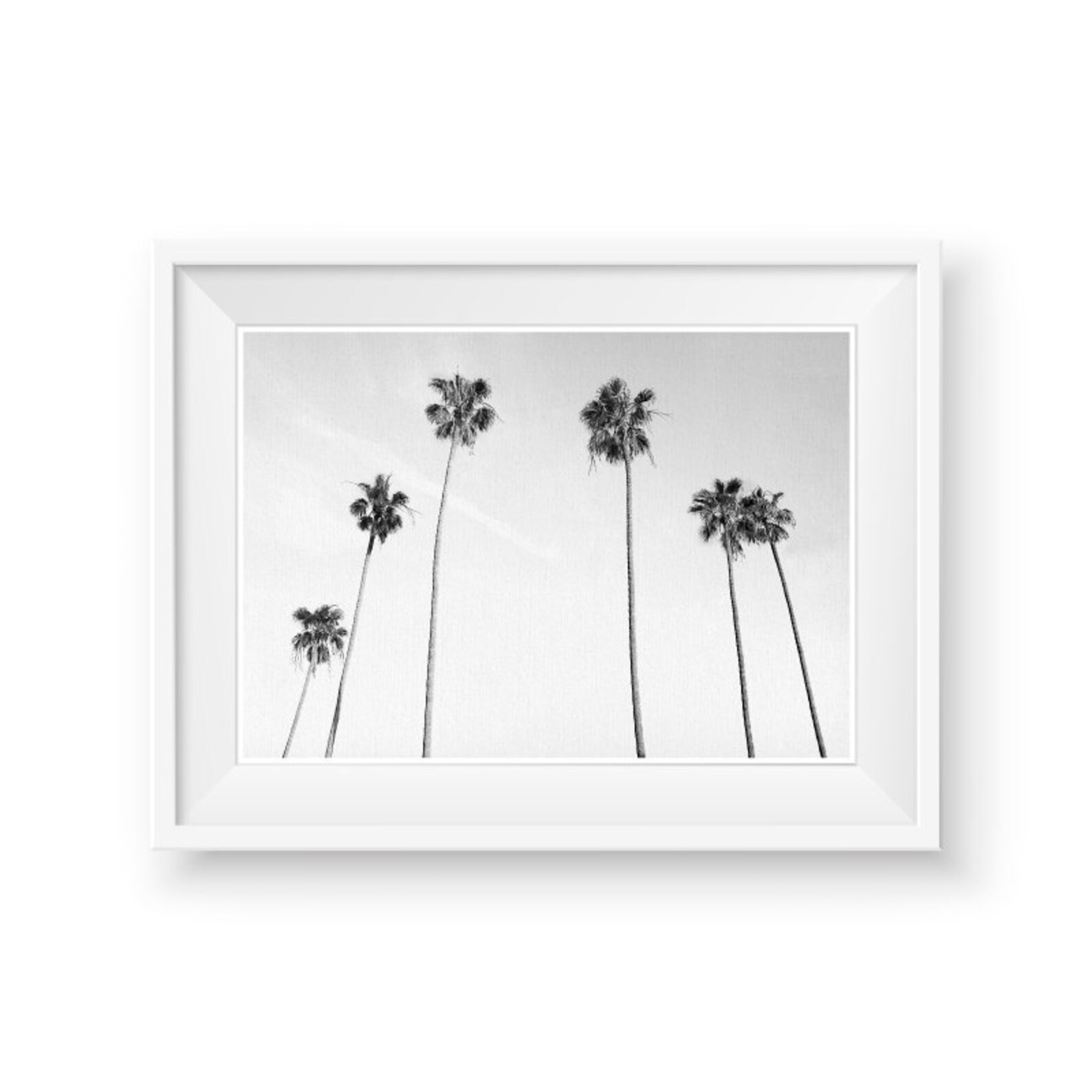 Palm Tree Wall Art California Tree Print Tropical Printable Etsy