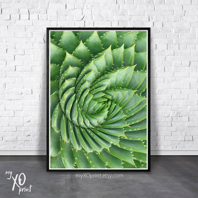 Cactus Wall Art, Succulent Print, Spiral Poster, Plant Decor, Printable ...