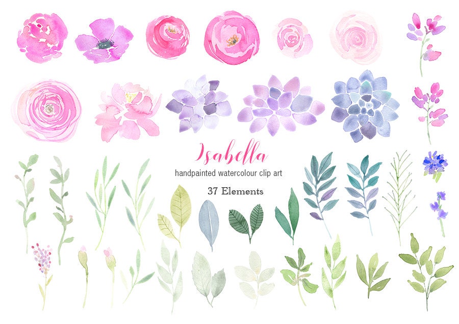 Watercolor Clipart Set Spring Clipart Elements Floral - Etsy