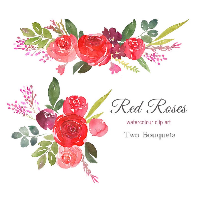 Watercolor Floral Cliparts Hand Painted Red Roses Flower - Etsy