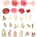 Hand Painted Floral Clipart Rusty Roses, Autumn Flowers, Floral PNG ...