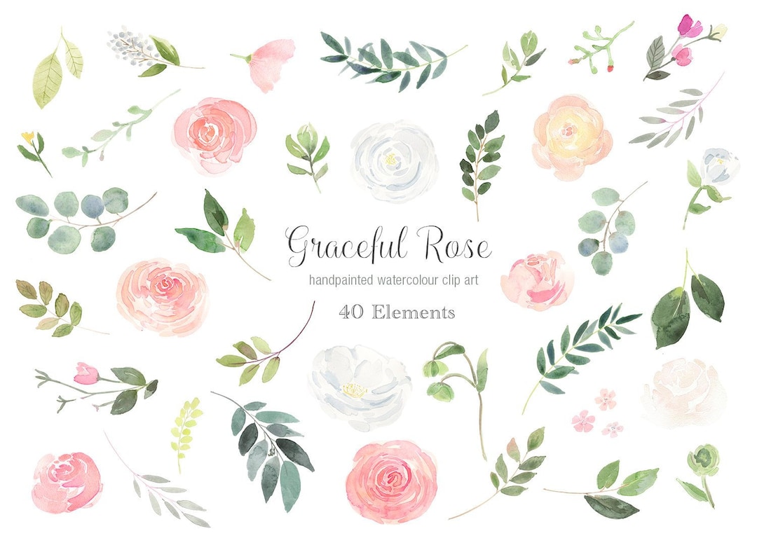Floral Clipart Peach Elements - Watercolor Pink, Peach and White Roses ...
