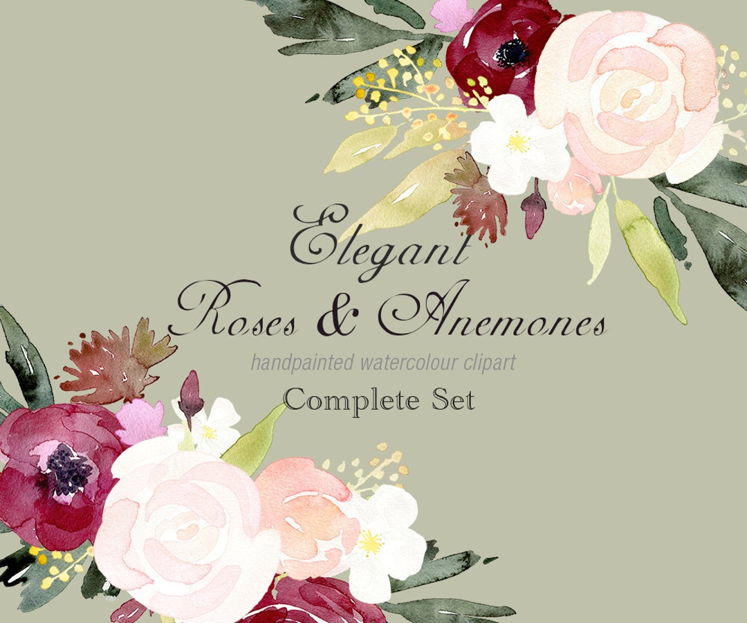 Hand Painted Floral Clipart - Elegant Roses & Anemone Elements, Floral ...