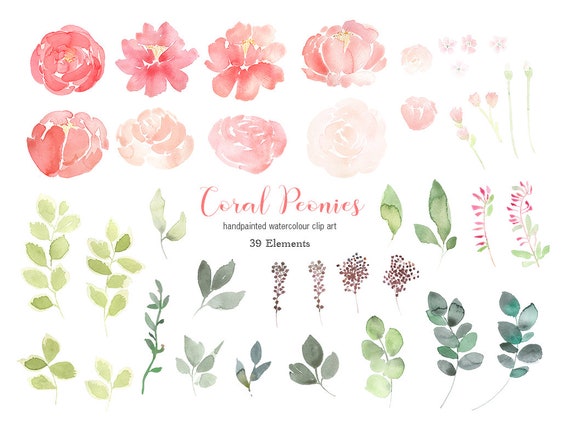 Coral Flower Clip Art