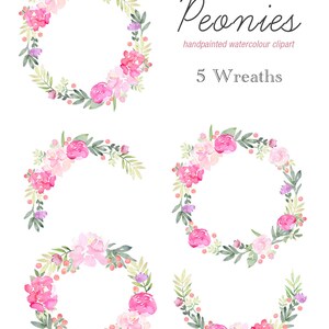 Watercolor Clip Art - Peony Wreaths, Peonies Clipart, Pink Floral ...