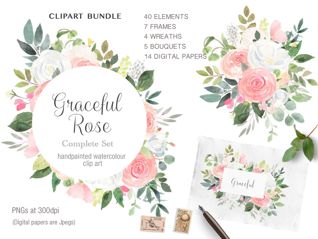 Watercolor Clipart Bundle, White and Pink Rose Clipart Set, Watercolor ...