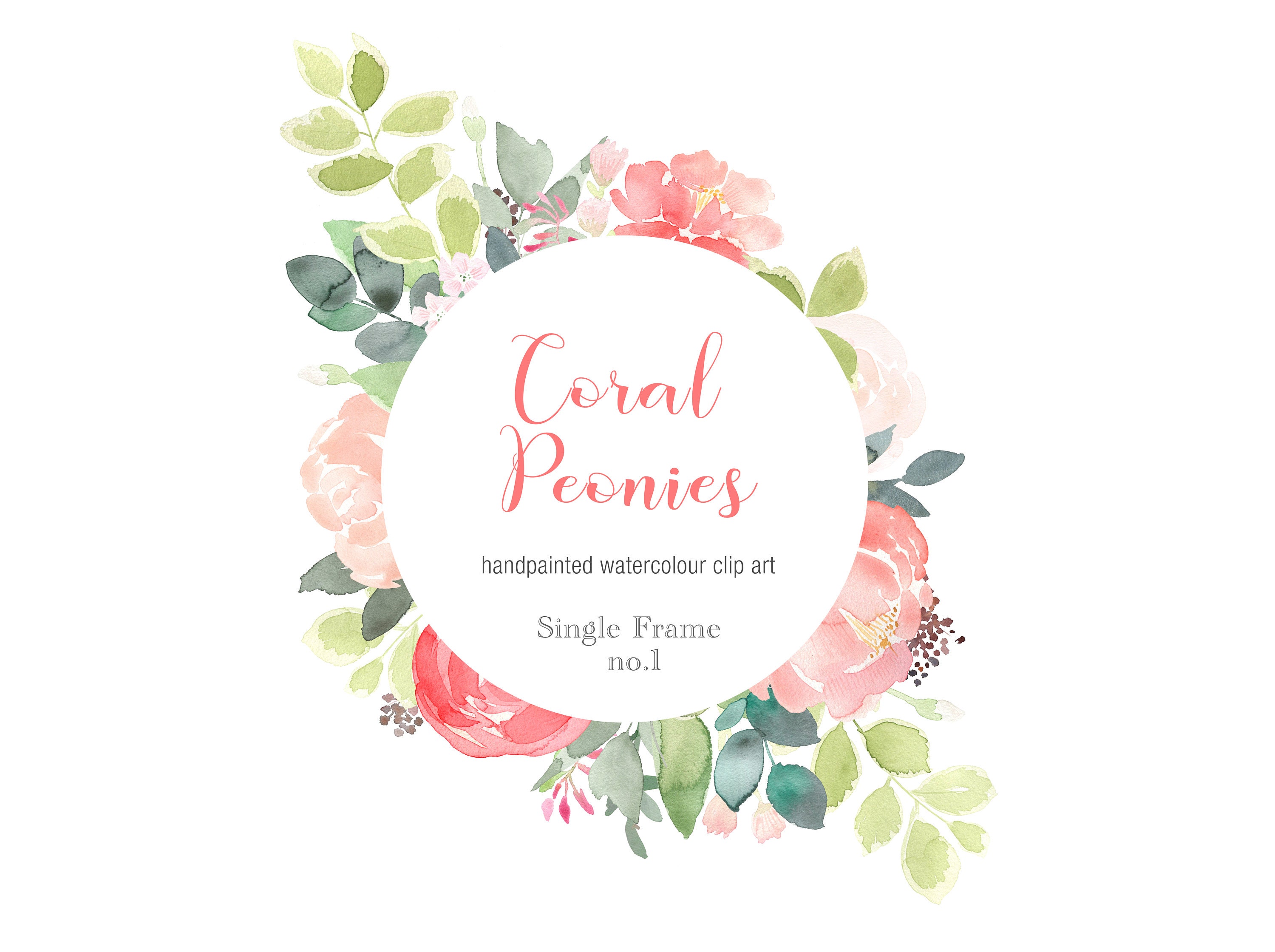 Watercolor Peonie Clip Art Frame Purple Peonies Watercolor Background