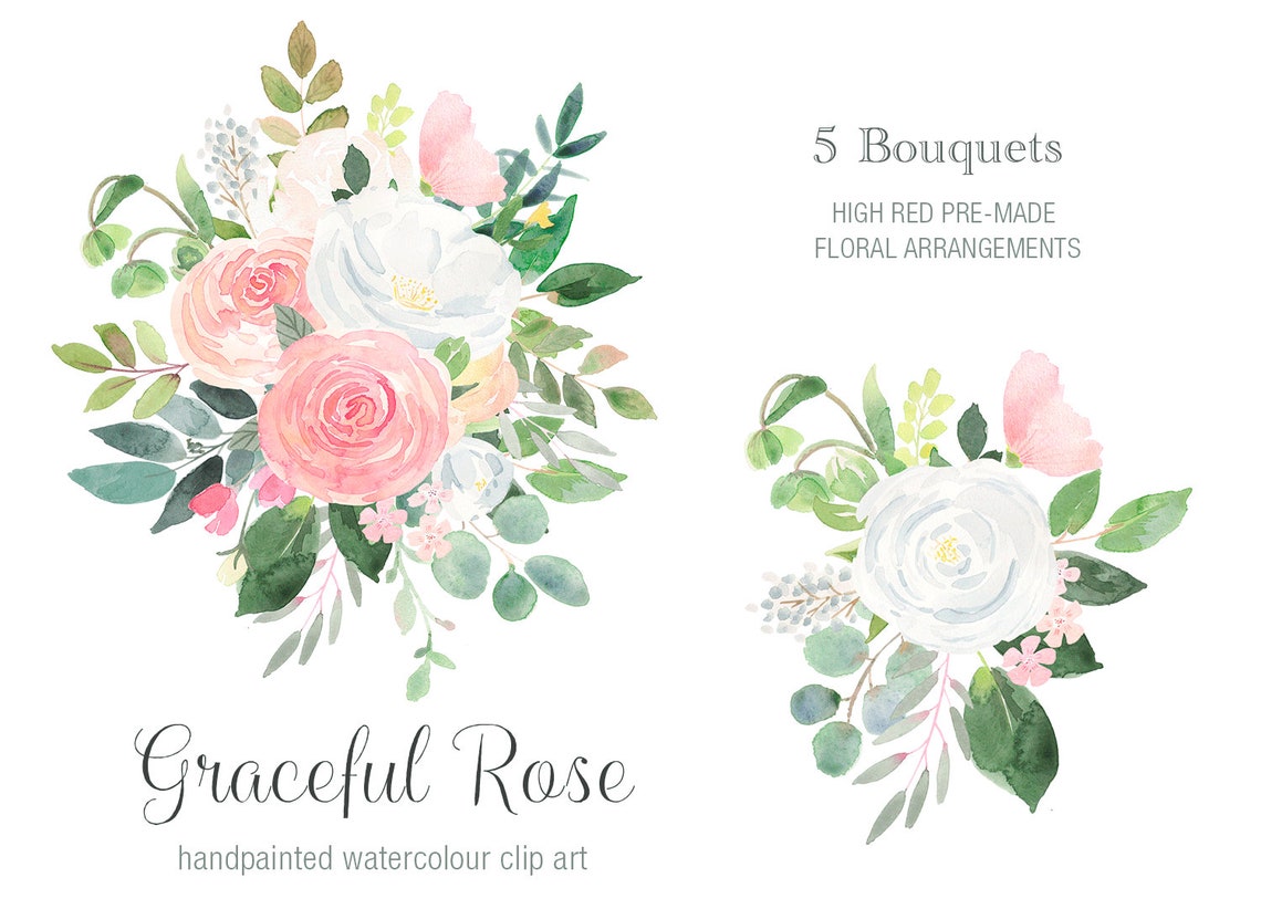 Watercolor Floral Clipart White and Peach Flower - Etsy