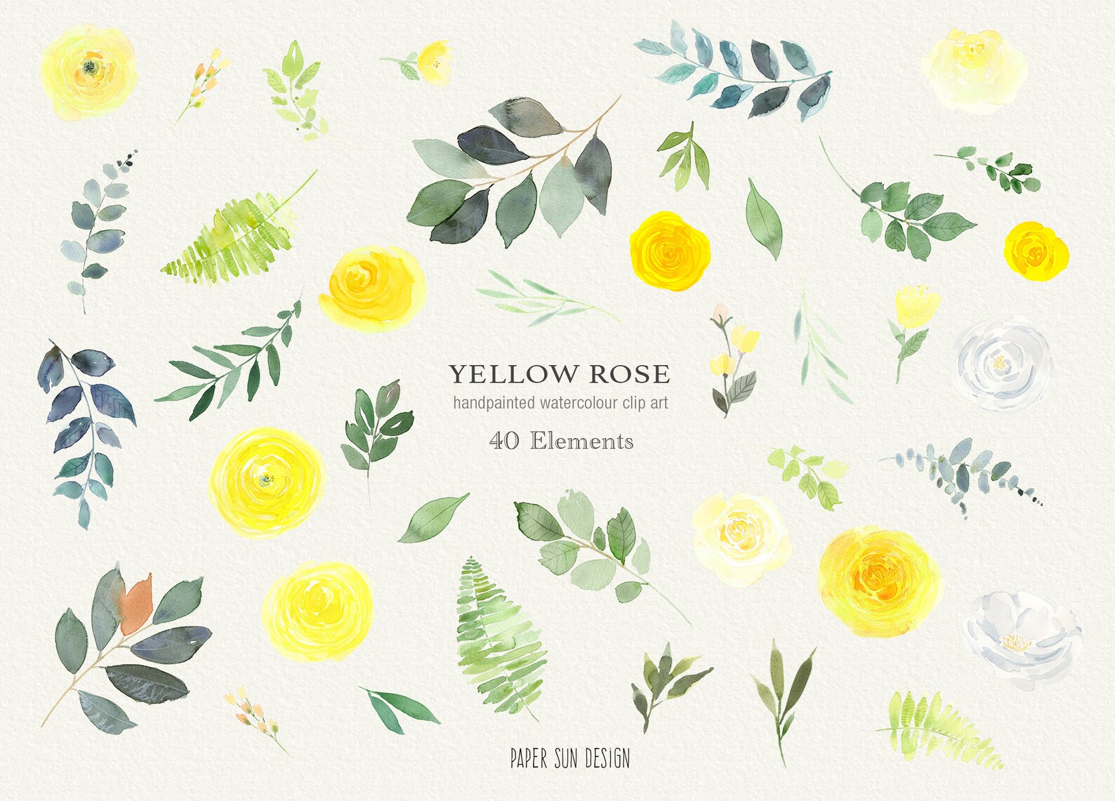 Yellow Rose Large Watercolor Clip Art Set, Watercolor Clipart Bundle ...