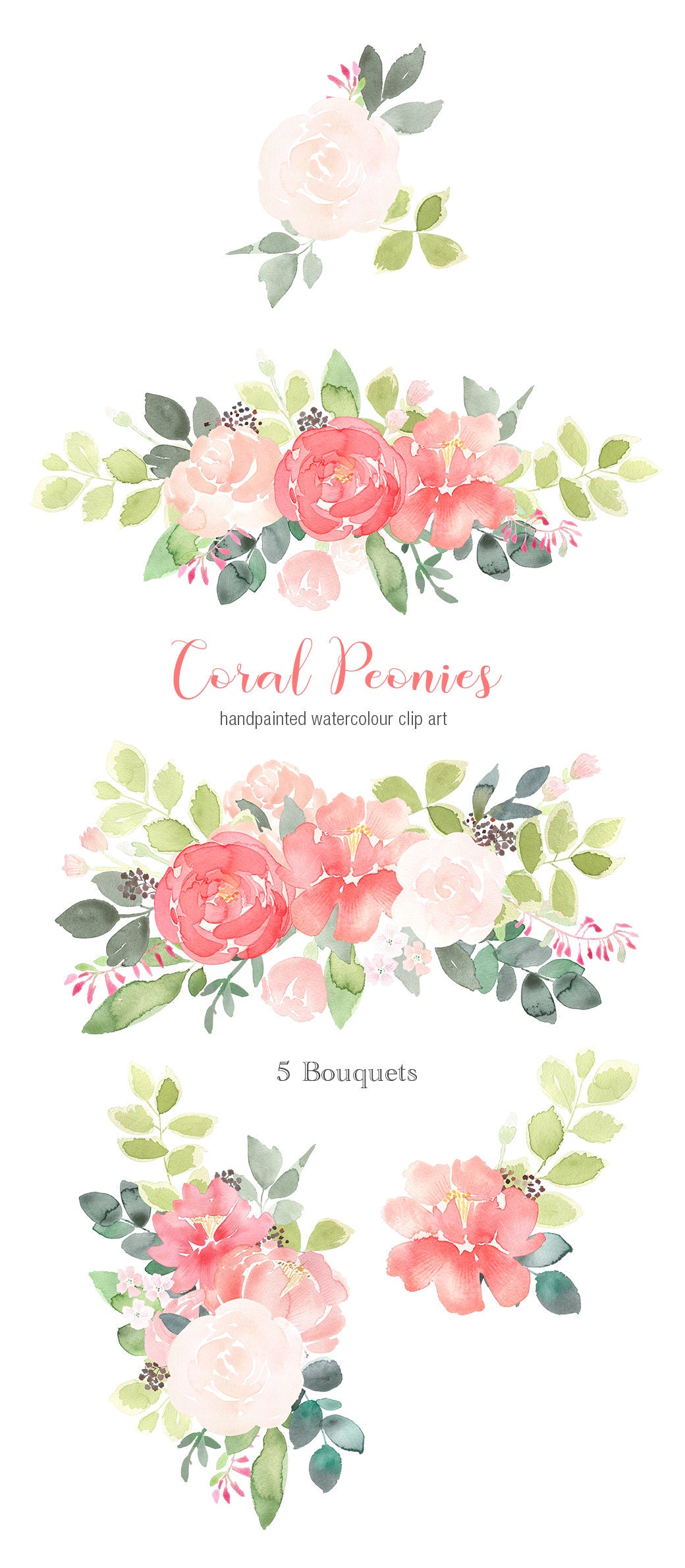 Coral Peony Clip Art