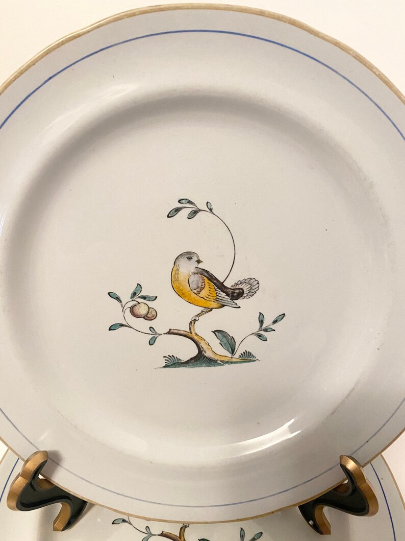 Vintage Spode Queens Bird Salad Plates - Etsy
