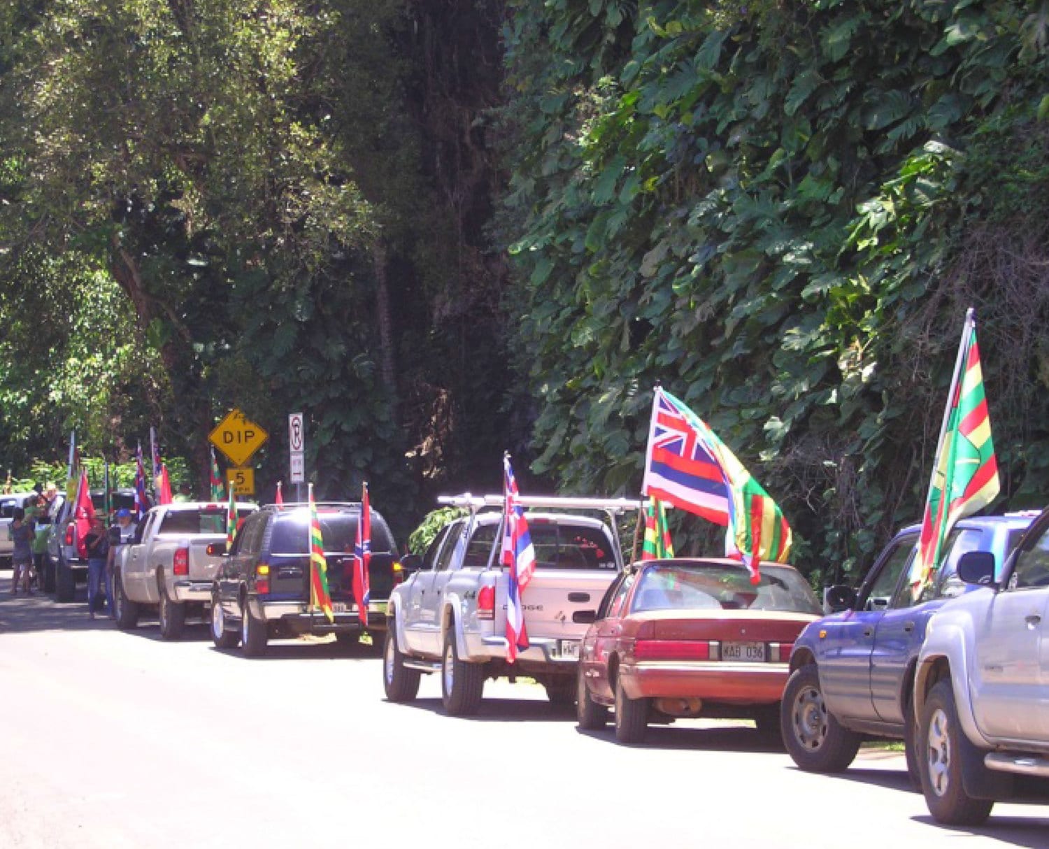 Large Kanaka Maoli Flags - Etsy