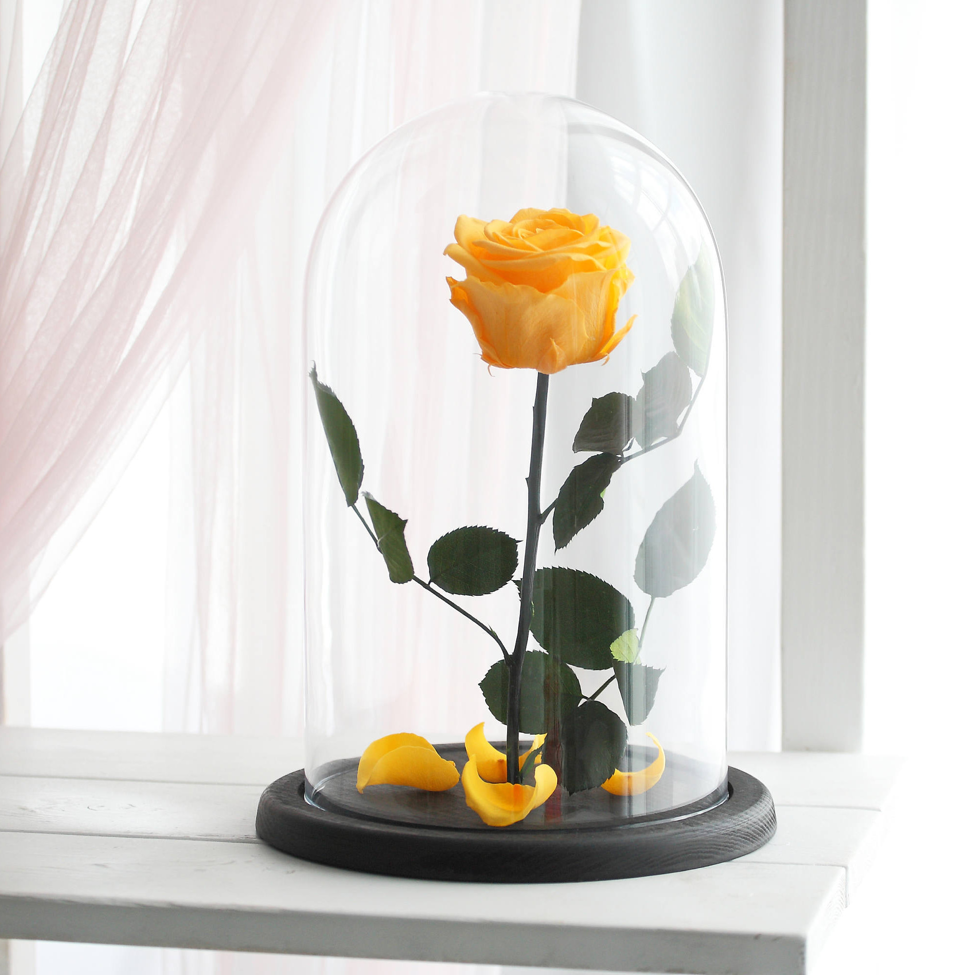 Beauty and the beast rose Large Yellow Forever rose | Etsy