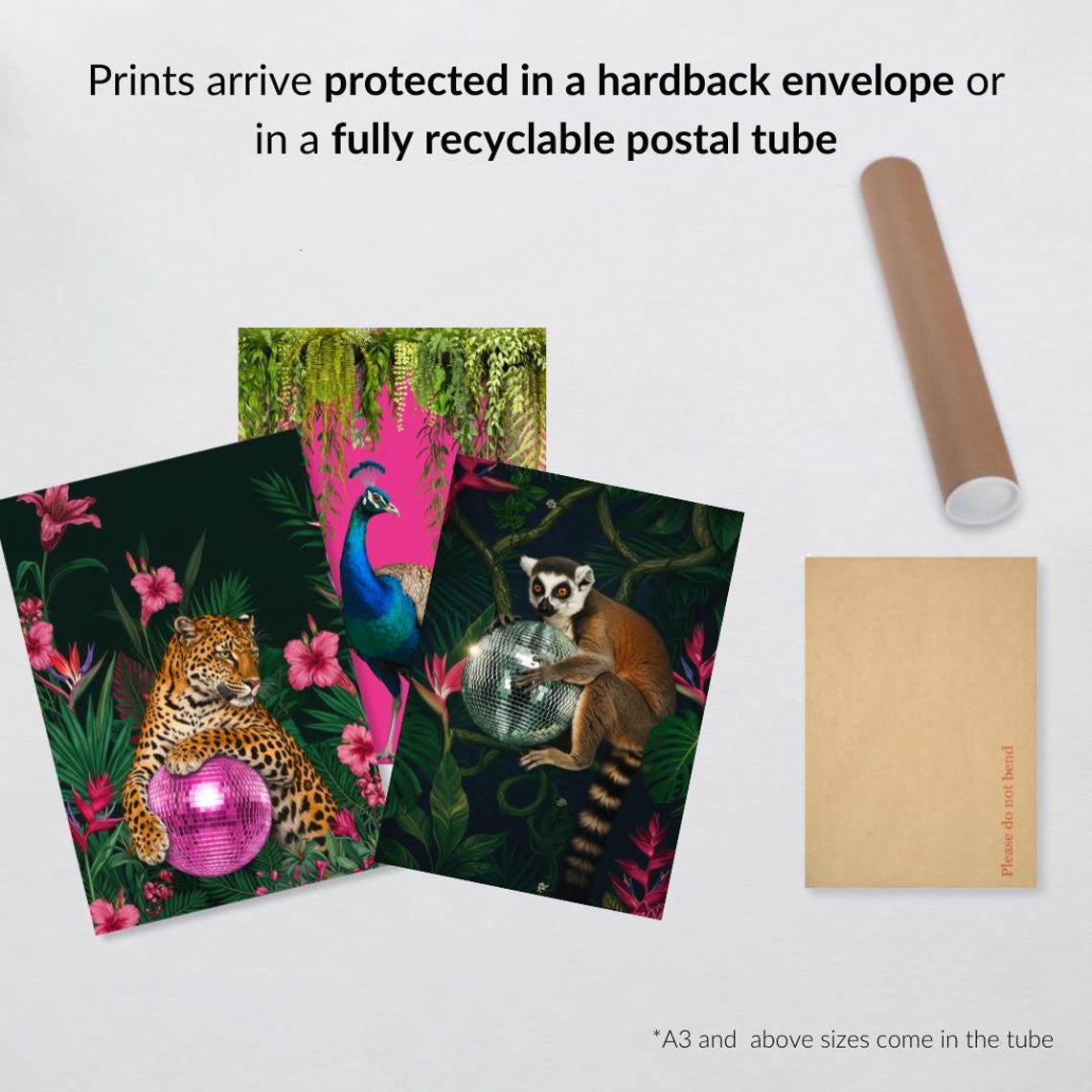 Jungle Disco Animal Print Set of 3 | Peacock, Leopard & Lemur Wall Art ...