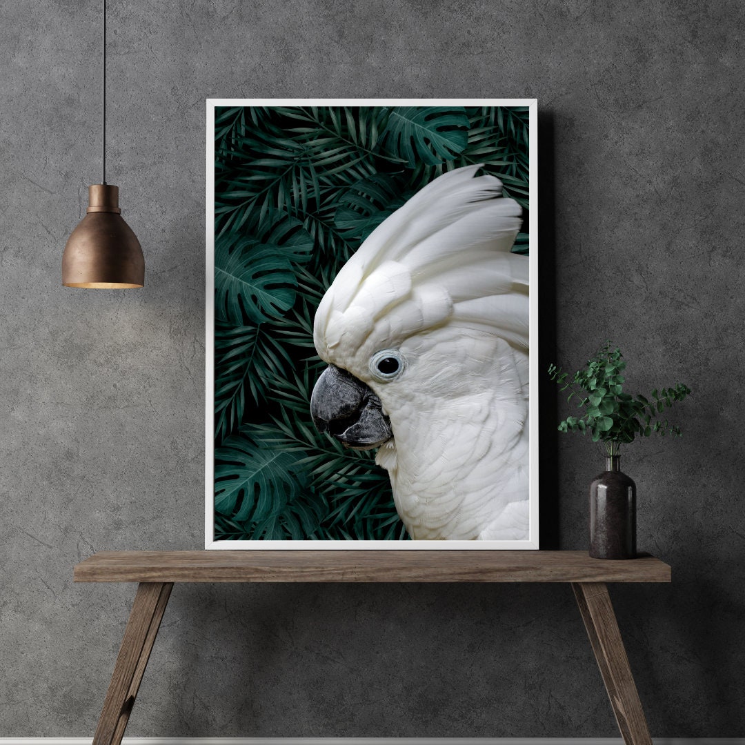 White Cockatoo Print, Tropical Bird Poster, Botanical Jungle Print - Etsy