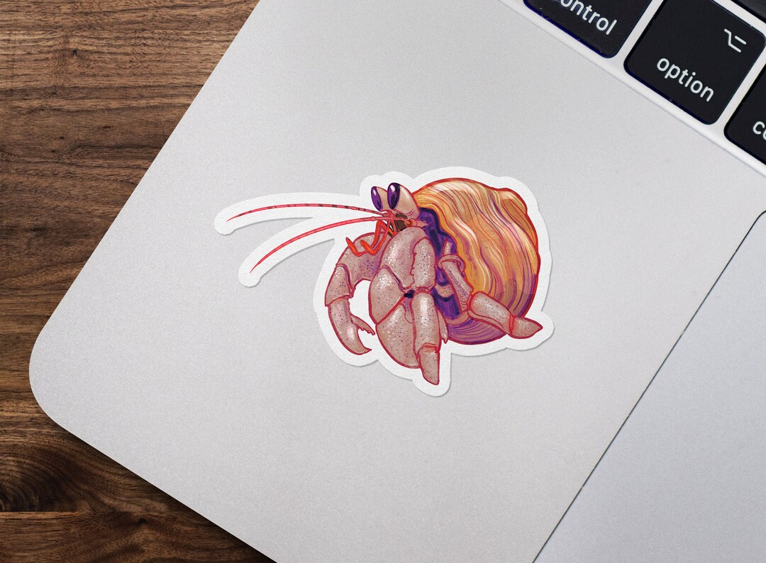 Hermit Crab in Shell Sticker, Crab Decal, Waterproof Vinyl Sticker for ...