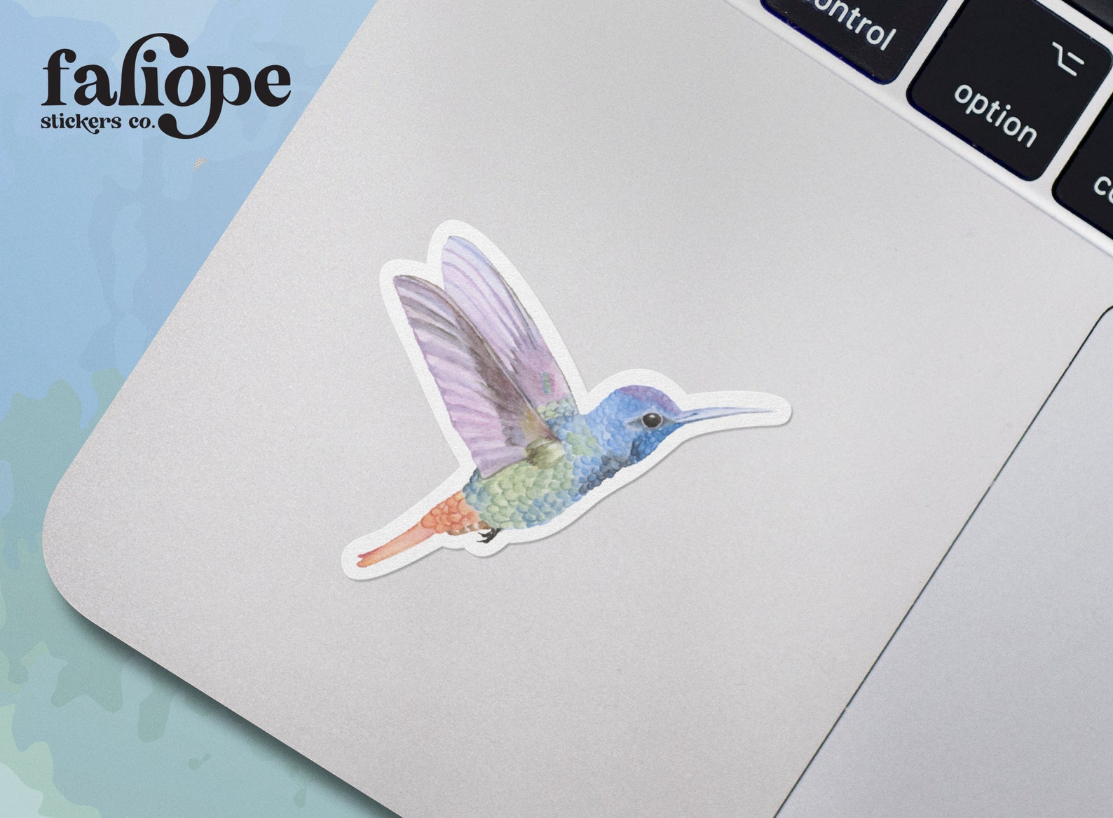 Watercolor Hummingbird Sticker, Hummingbird Decal, Waterproof Vinyl ...
