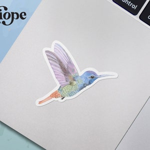 Watercolor Hummingbird Sticker, Hummingbird Decal, Waterproof Vinyl ...