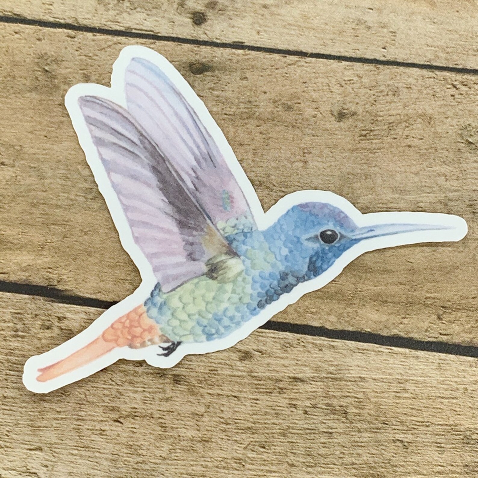 Watercolor Hummingbird Sticker Hummingbird Decal Waterproof - Etsy