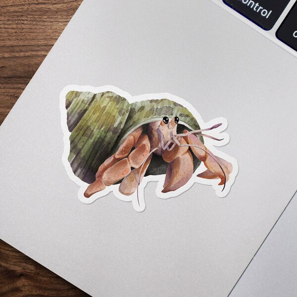 Hermit Crab - Etsy