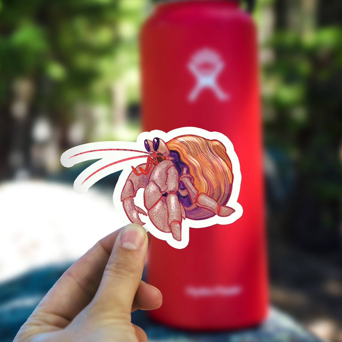 Hermit Crab in Shell Sticker Crab Decal Waterproof Vinyl | Etsy