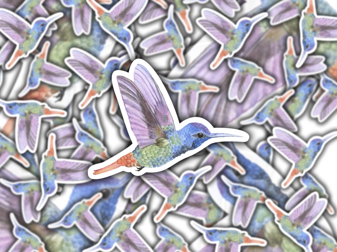 Watercolor Hummingbird Sticker, Hummingbird Decal, Waterproof Vinyl ...