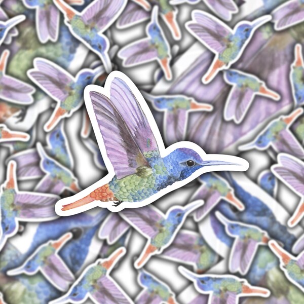 Hummingbird Sticker - Etsy