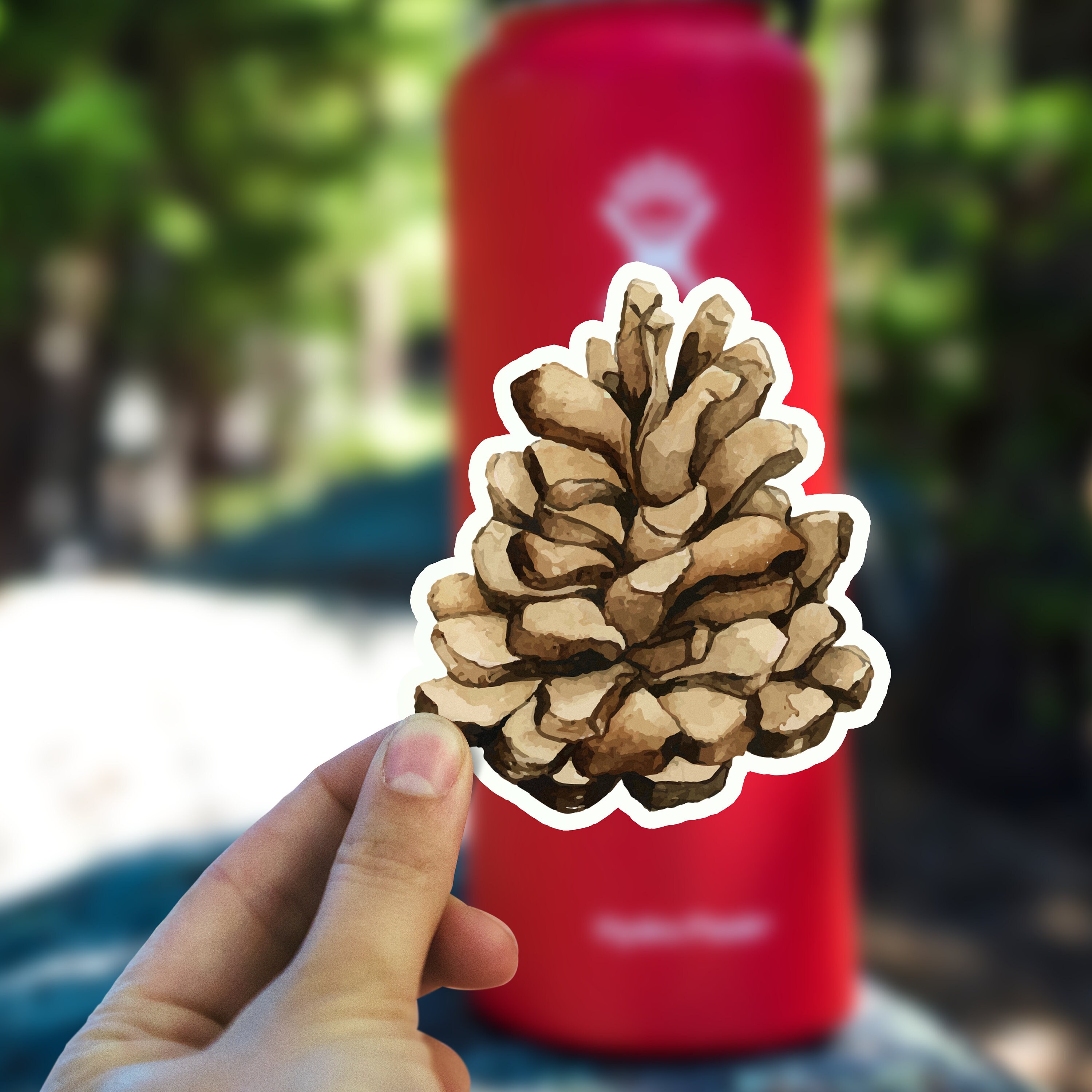 Pinecone Sticker Pine Cone Decal Pine Tree Waterproof Vinyl - Etsy