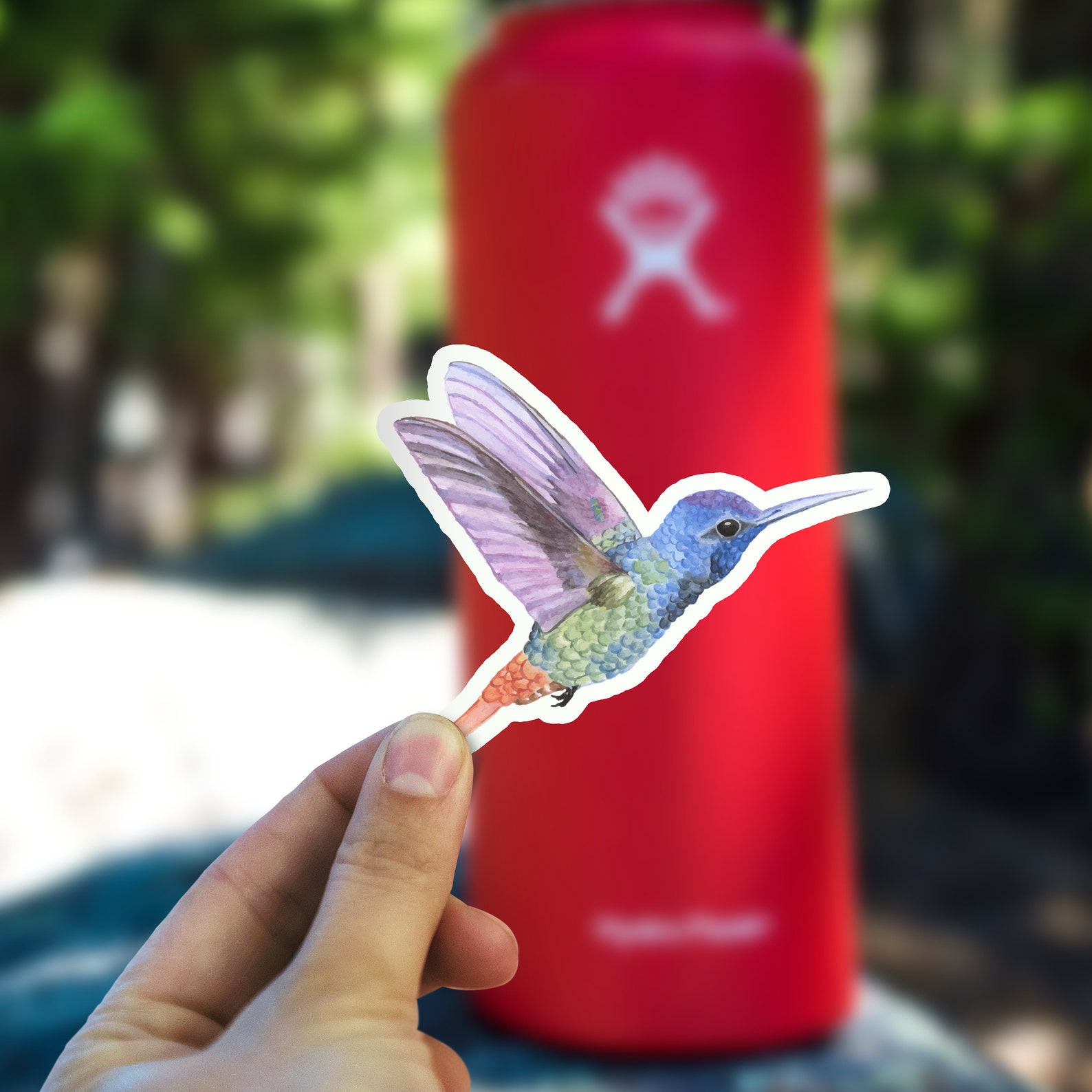 Watercolor Hummingbird Sticker Hummingbird Decal Waterproof - Etsy