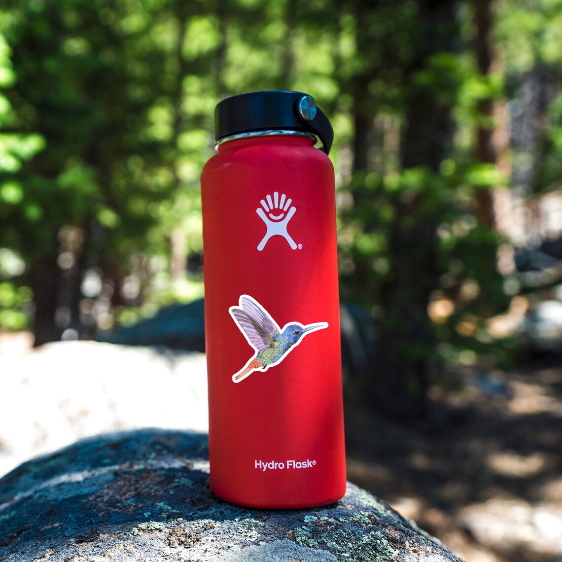 Watercolor Hummingbird Sticker Hummingbird Decal Waterproof - Etsy