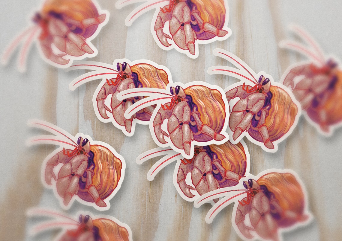 Hermit Crab in Shell Sticker Crab Decal Waterproof Vinyl - Etsy