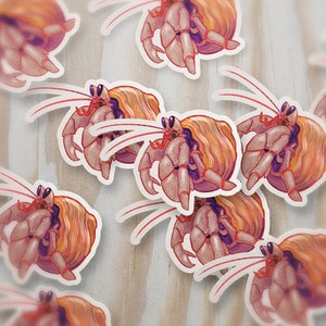 Hermit Crab in Shell Sticker, Crab Decal, Waterproof Vinyl Sticker for ...