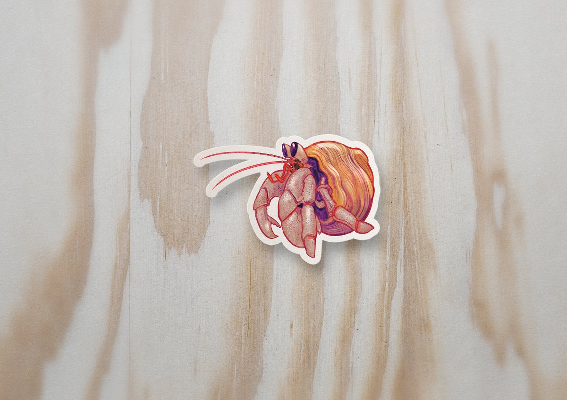 Hermit Crab in Shell Sticker Crab Decal Waterproof Vinyl - Etsy