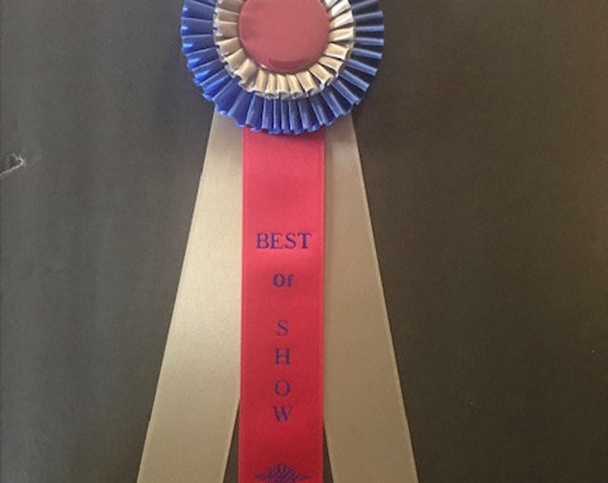 Satin Award Rosette Ribbons Best of Show - Etsy